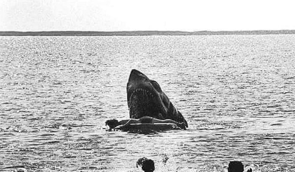 Why Is JAWS Just Better? - Last Movie Outpost