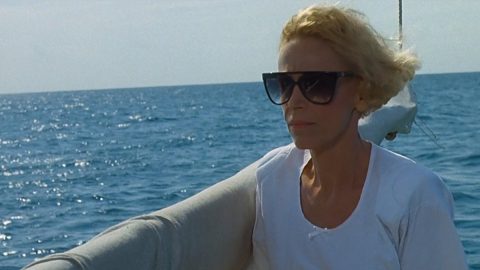 What Went Wrong With JAWS THE REVENGE? - Last Movie Outpost