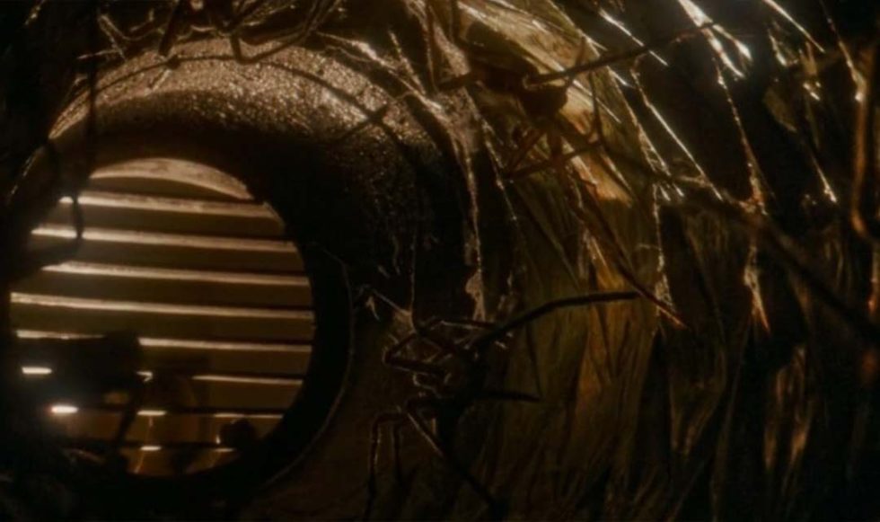 Review: INFESTED (VERMINES) - Last Movie Outpost