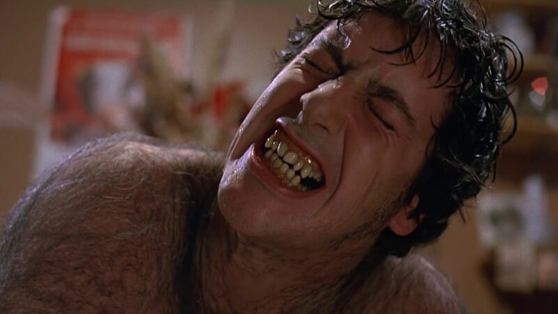 Head-To-Head: THE HOWLING vs. AN AMERICAN WEREWOLF IN LONDON - Last ...