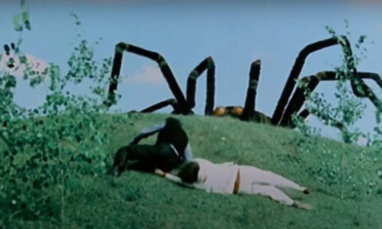 Giant Spider Movie: THE GIANT SPIDER INVASION - Last Movie Outpost
