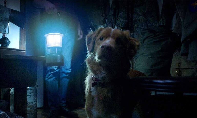 GOOD BOY Trailer - Last Movie Outpost