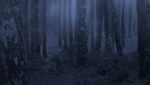 A Handy Guide to STRANGER THINGS: Season 1 - Last Movie Outpost