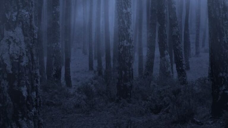 A Handy Guide to STRANGER THINGS: Season 1 - Last Movie Outpost